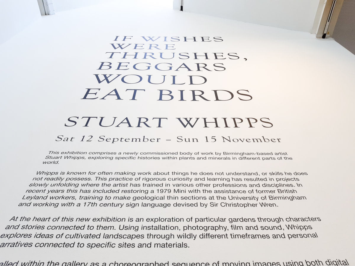 Exhibition Text & Graphics - Robertsign